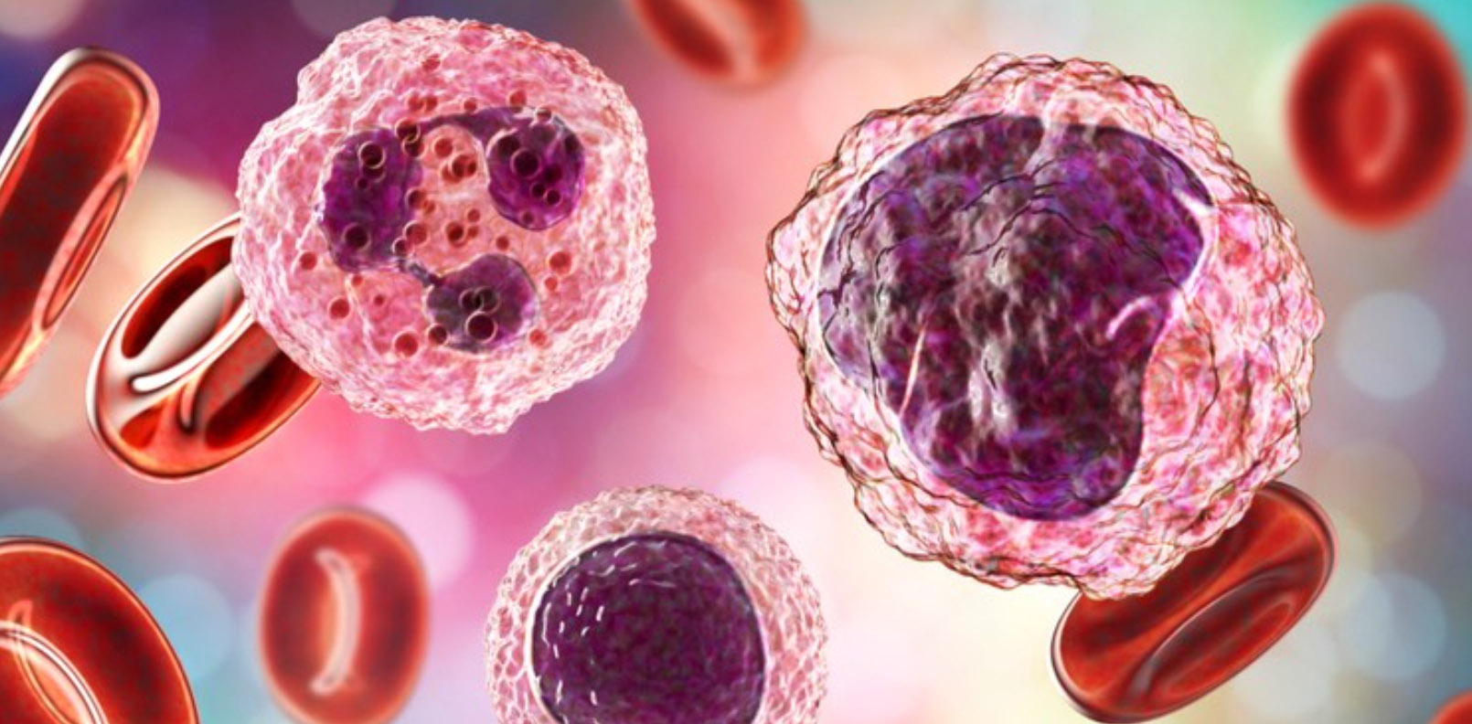 significance-of-stem-cell-transplant-in-cancer-treatment